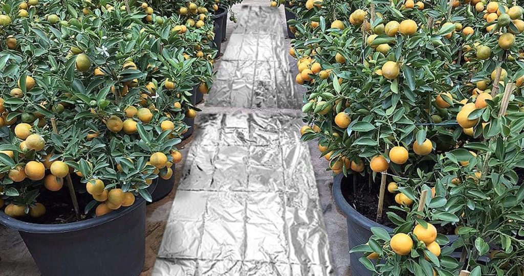 1 mil 2 mil Silver Reflective Aluminum Metalized Polyester Film ...
